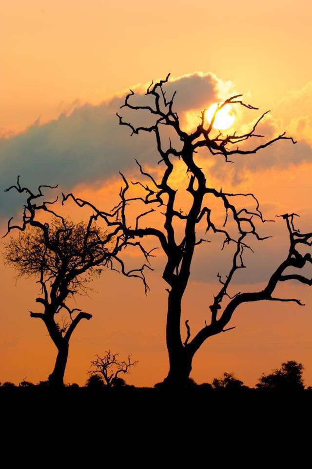 About Us – hardekool.com