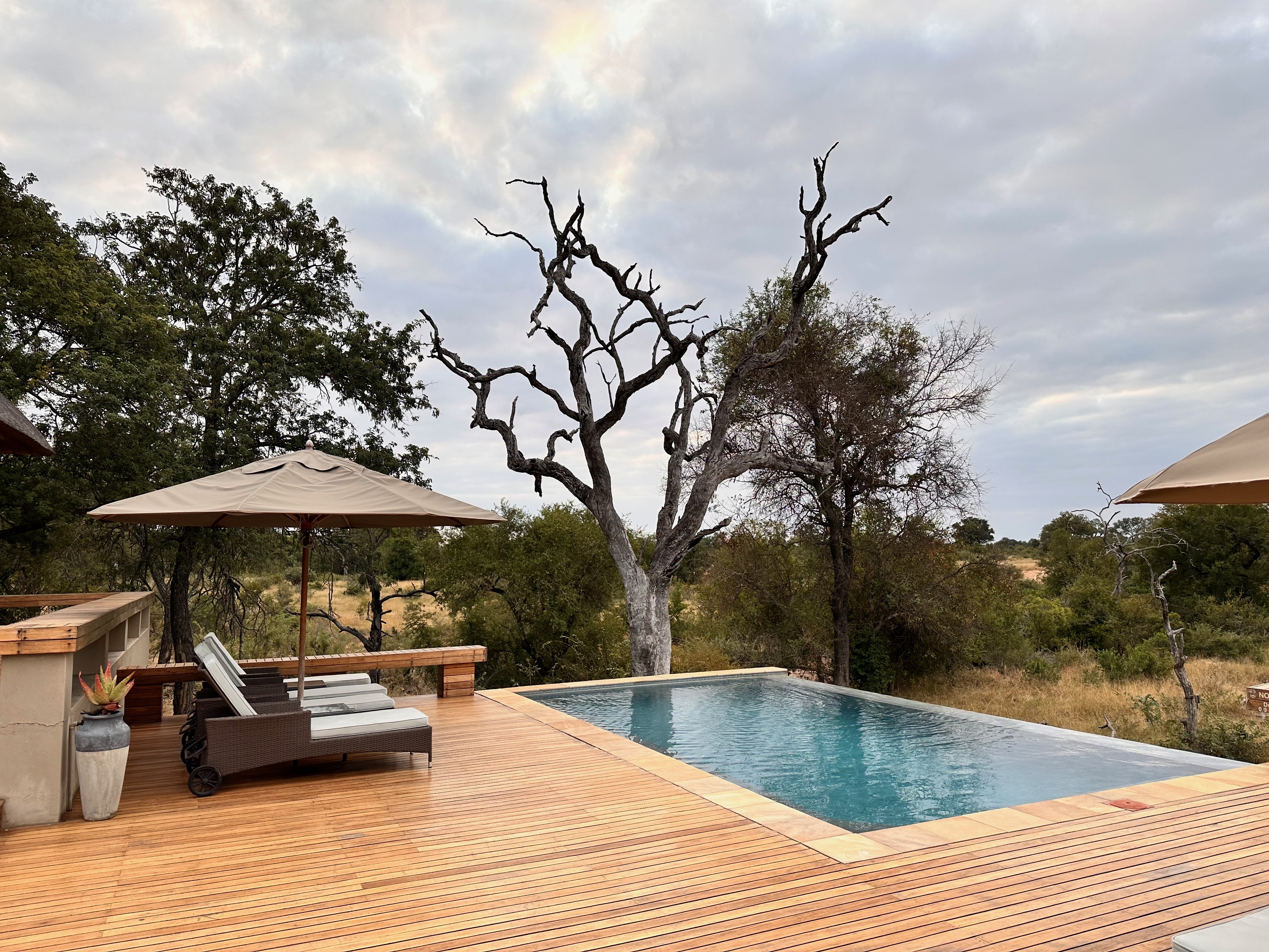 Decor – hardekool.com