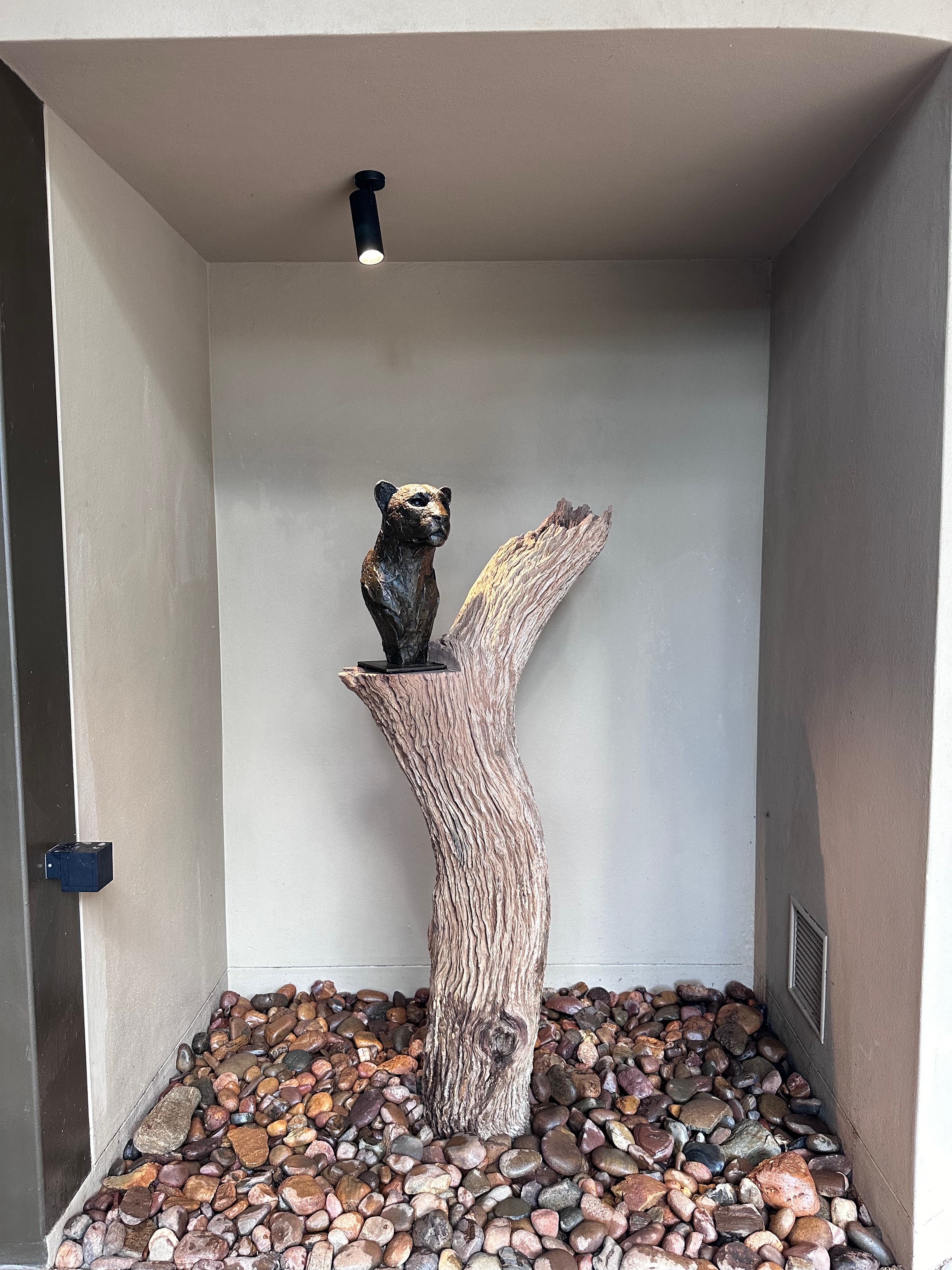 Decor – hardekool.com